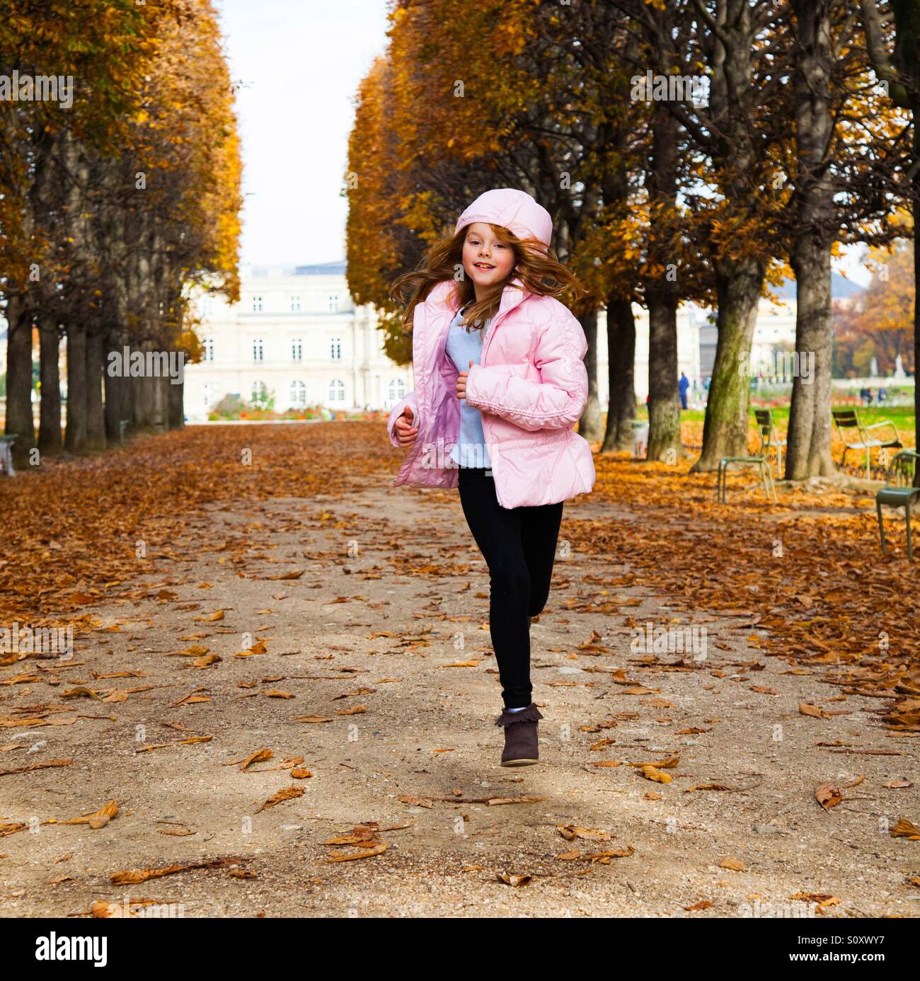 Aged leaves hi-res stock photography and images - Alamy