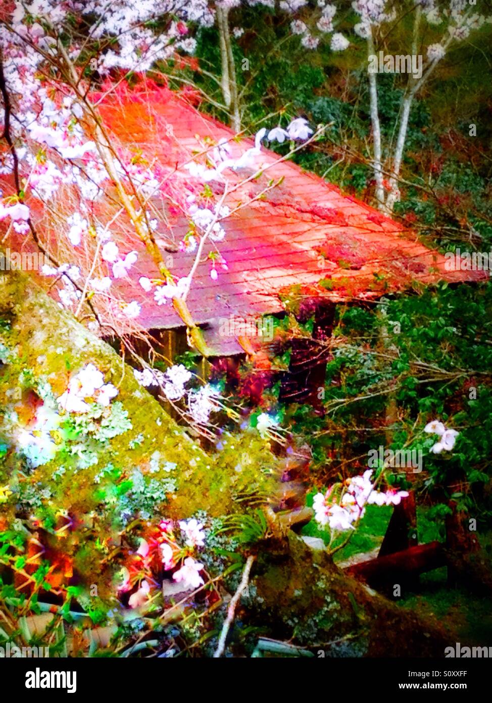 Partially Hidden Weather Shelter Stock Photo - Alamy