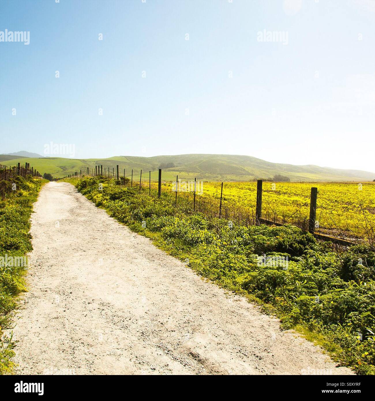 Driving down the trail hi-res stock photography and images - Alamy