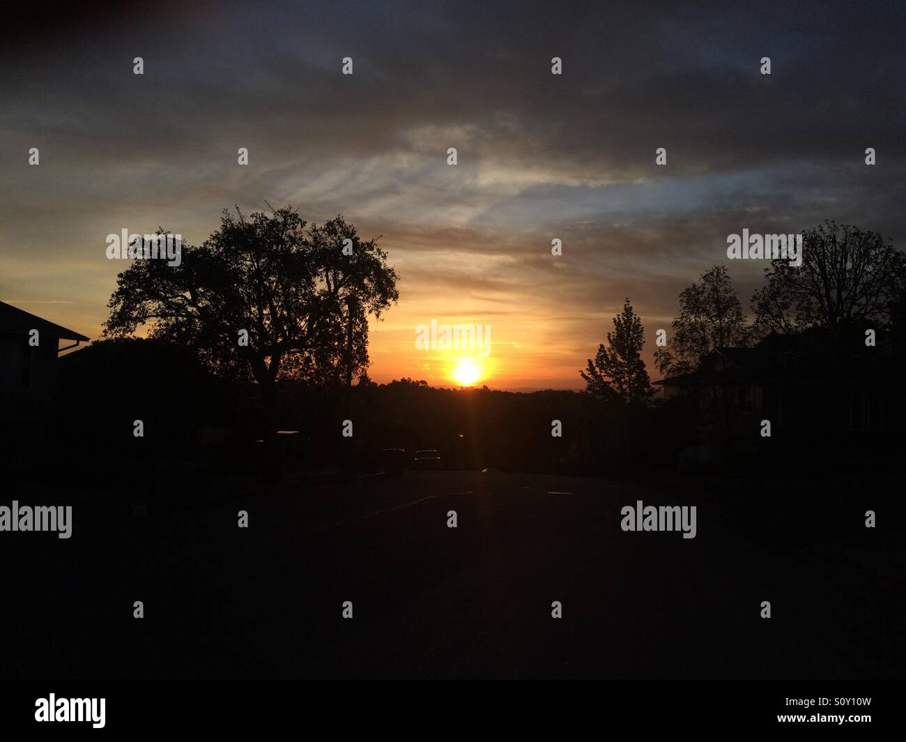 Deep Yellow Sunrise with foreground tree silhouettes Stock Photo - Alamy