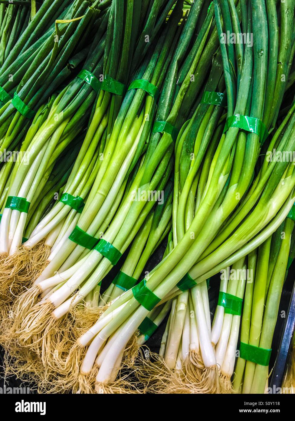Spring _onion hi-res stock photography and images - Alamy