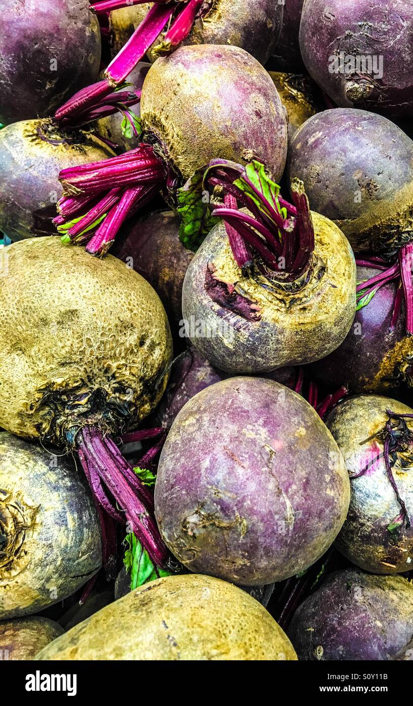 Beetroot purple hi-res stock photography and images - Alamy