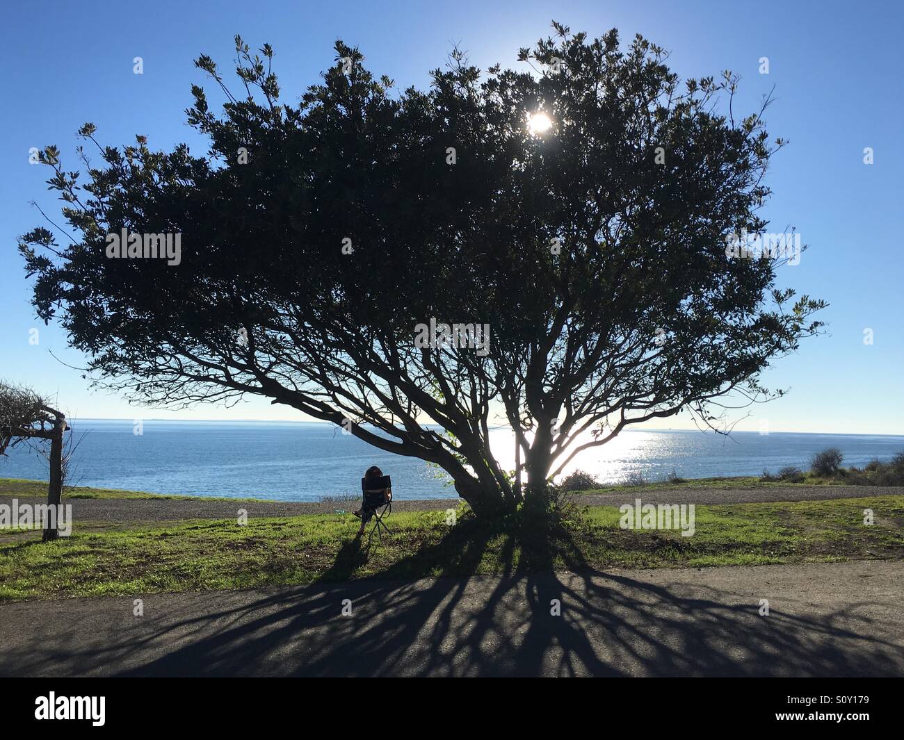Relaxing under the tree hi-res stock photography and images - Alamy