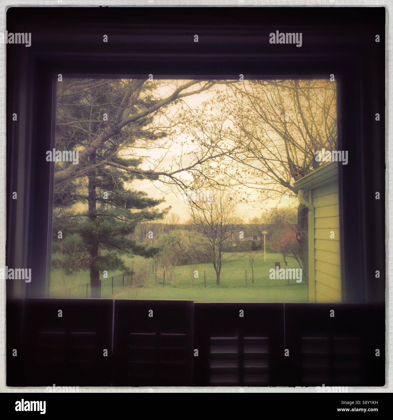 A view of the springtime outdoors through a window Stock Photo - Alamy