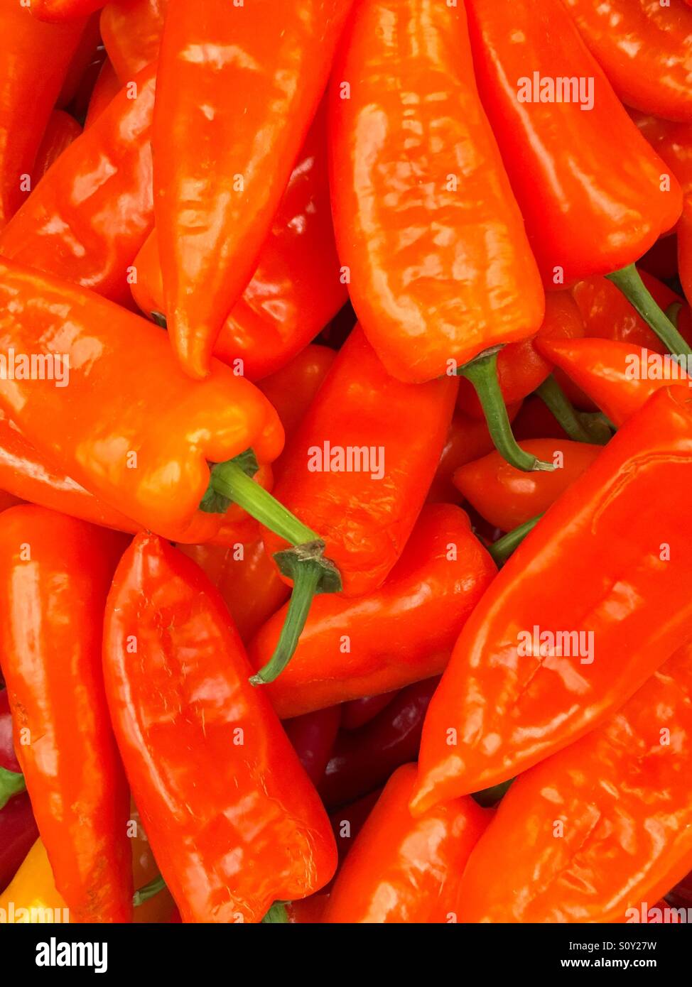 Orange chilli peppers Stock Photo - Alamy