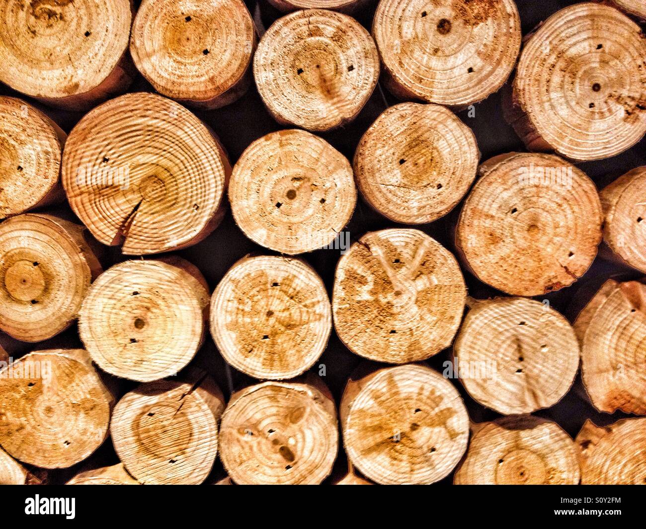 Chopped logs stuck to a wall Stock Photo - Alamy