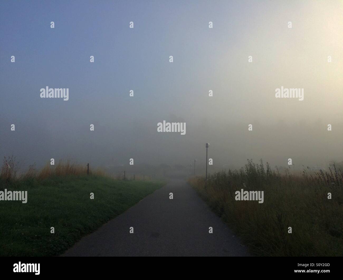 Field in Fog Stock Photo - Alamy
