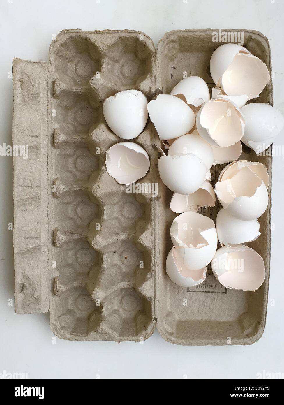 A dozen egg shells Stock Photo - Alamy