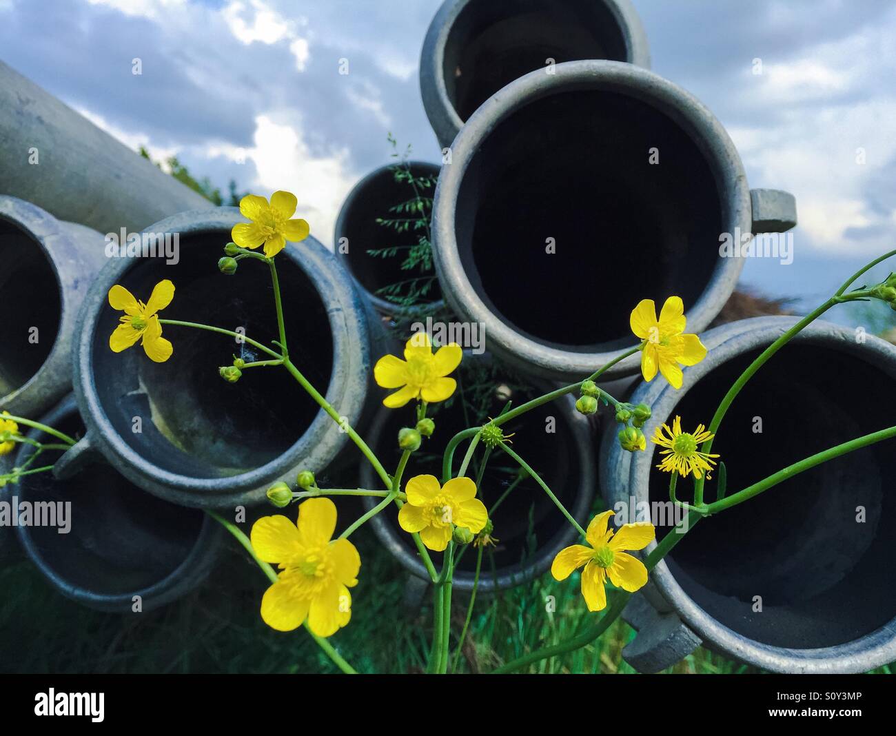 Flower tubes hi-res stock photography and images - Alamy