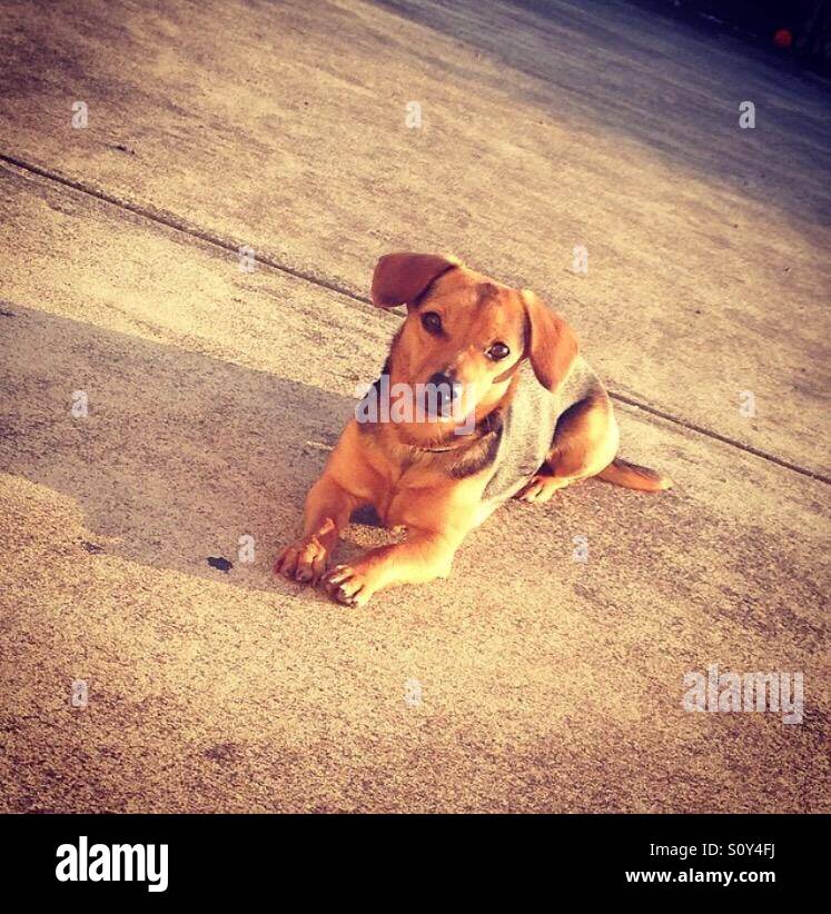 Xena hi-res stock photography and images - Alamy