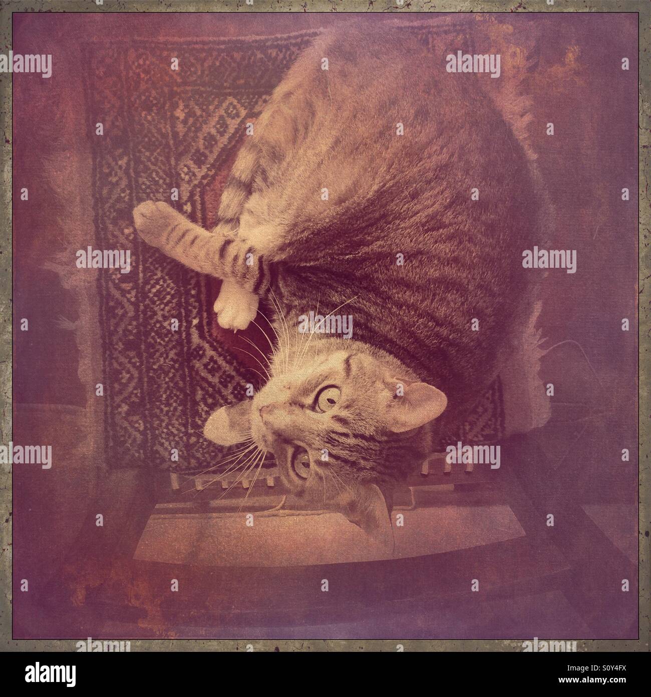 Above chair seen from hi-res stock photography and images - Alamy