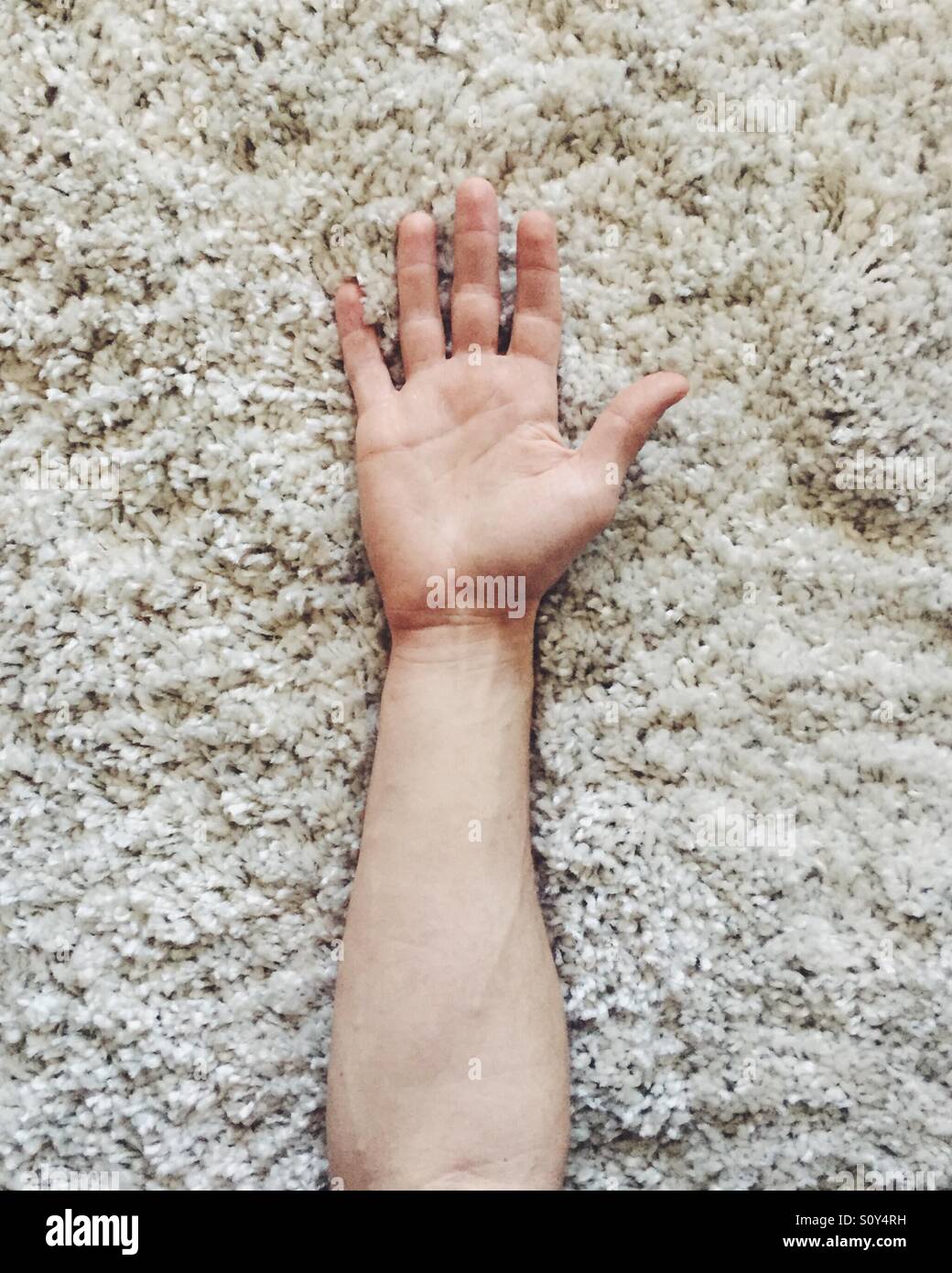 Shag rug hi-res stock photography and images - Alamy