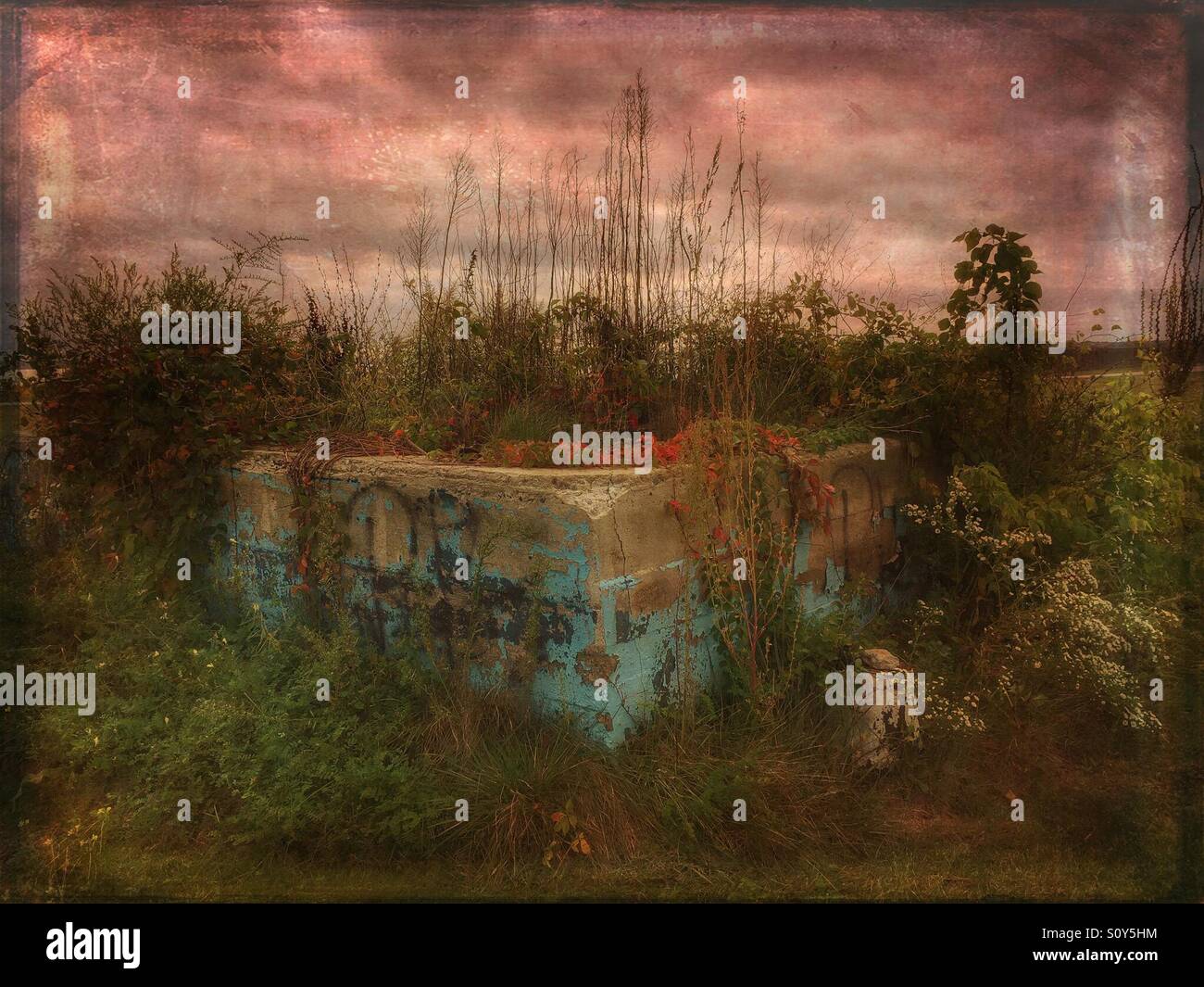 Overgrown Cement Structure Stock Photo - Alamy