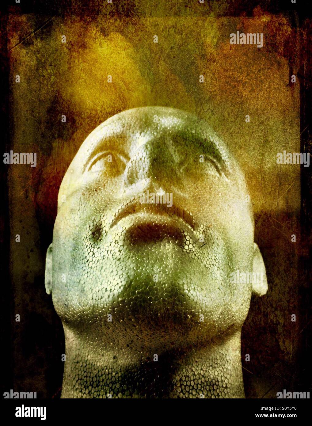 Head of man Stock Photo - Alamy