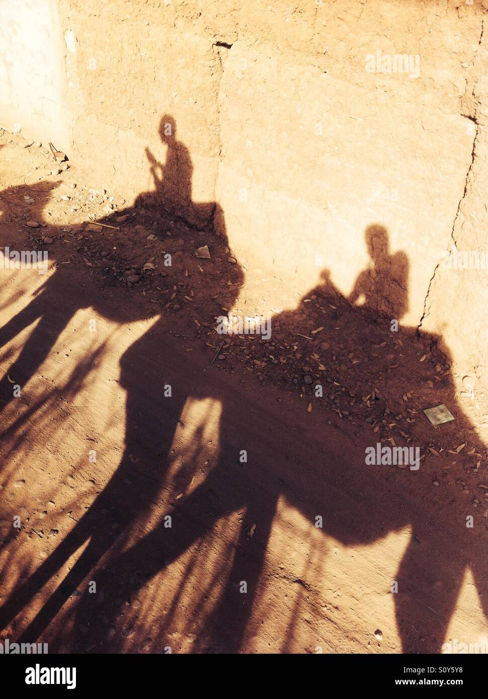 Camel shadow desert hi-res stock photography and images - Alamy