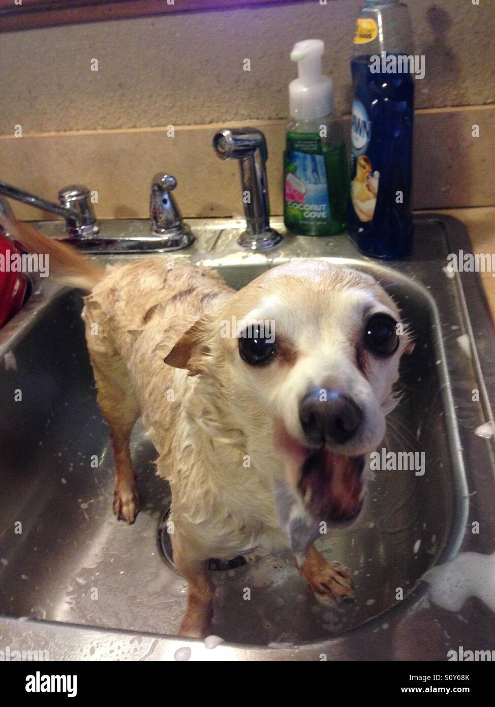 Time get wet hi-res stock photography and images - Alamy