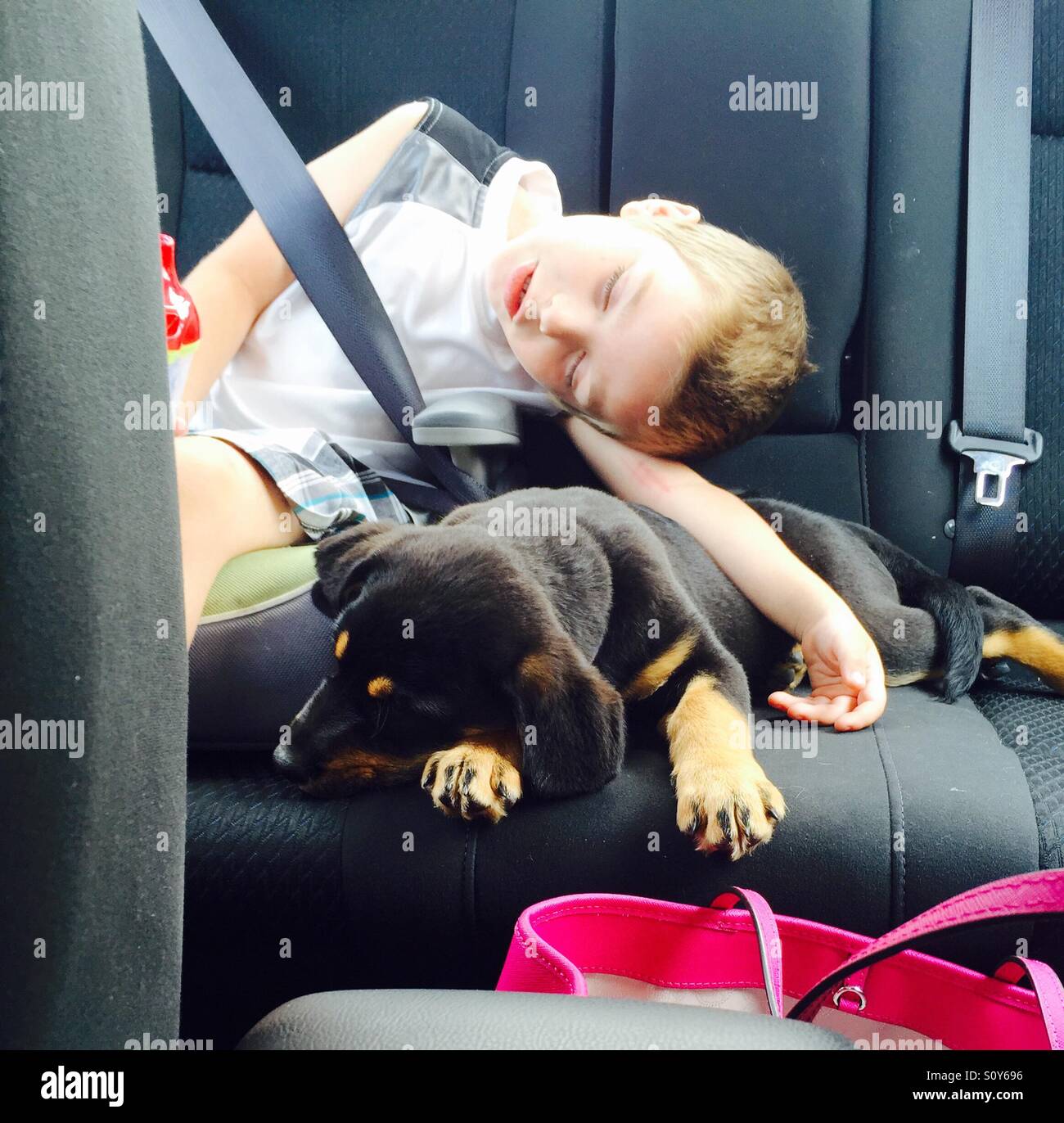 Boy Puppy Stock Photos & Boy Puppy Stock Images - Alamy