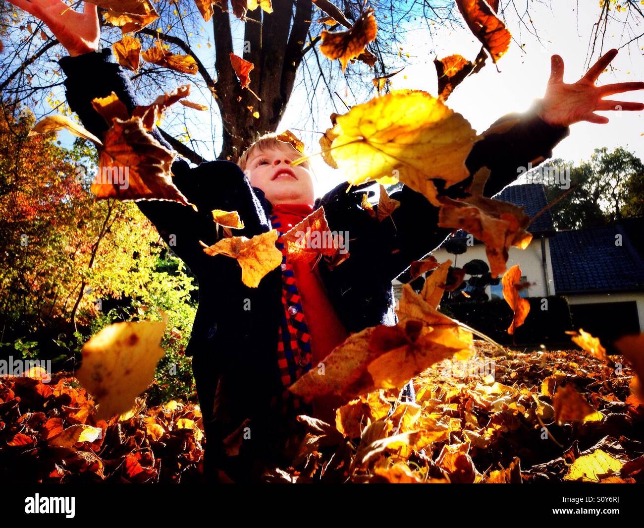 Throw autumn hi-res stock photography and images - Alamy