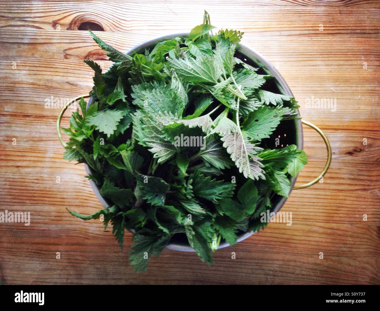Edible cooked leaves hi-res stock photography and images - Alamy