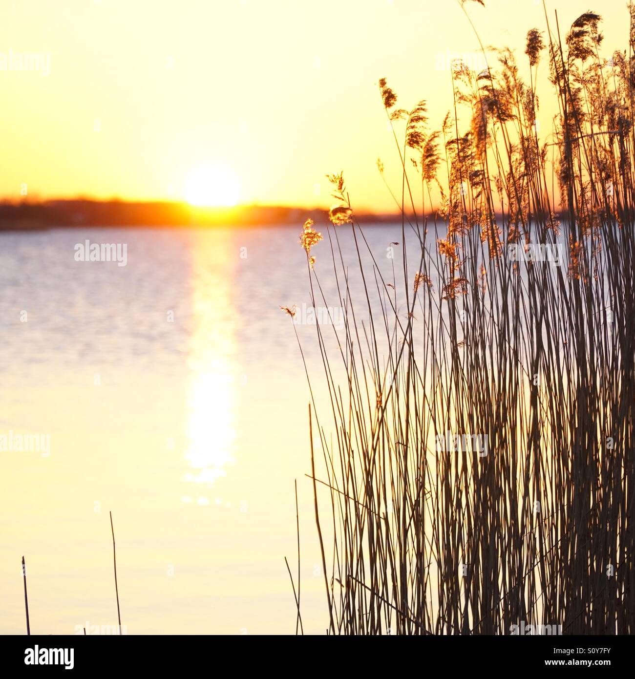 Spring sun hi-res stock photography and images - Alamy