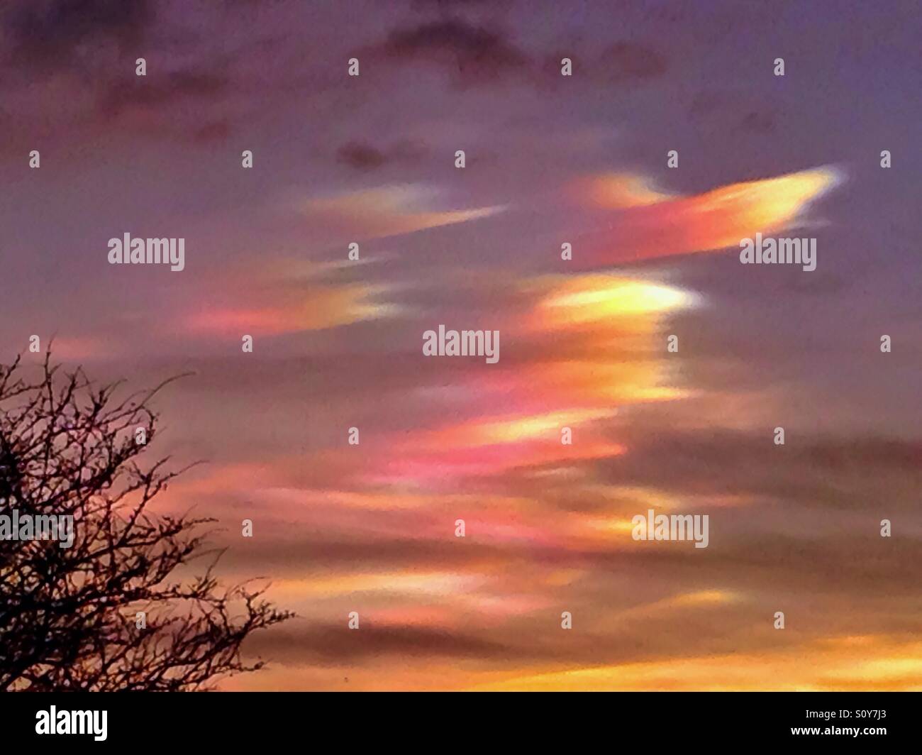 Iridescence nature hi-res stock photography and images - Alamy