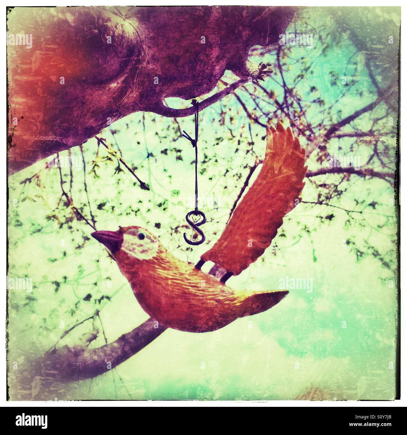 Tin Bird High Resolution Stock Photography and Images - Alamy