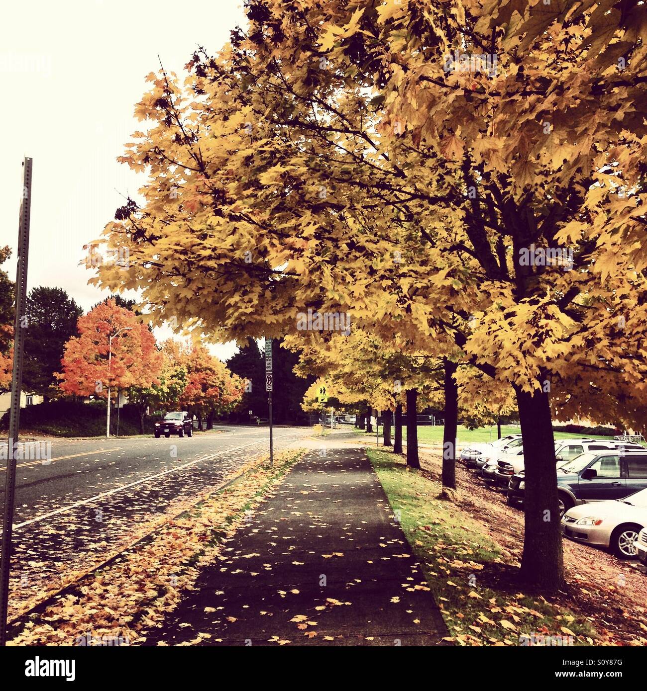 Fall sidewalks hi-res stock photography and images - Alamy