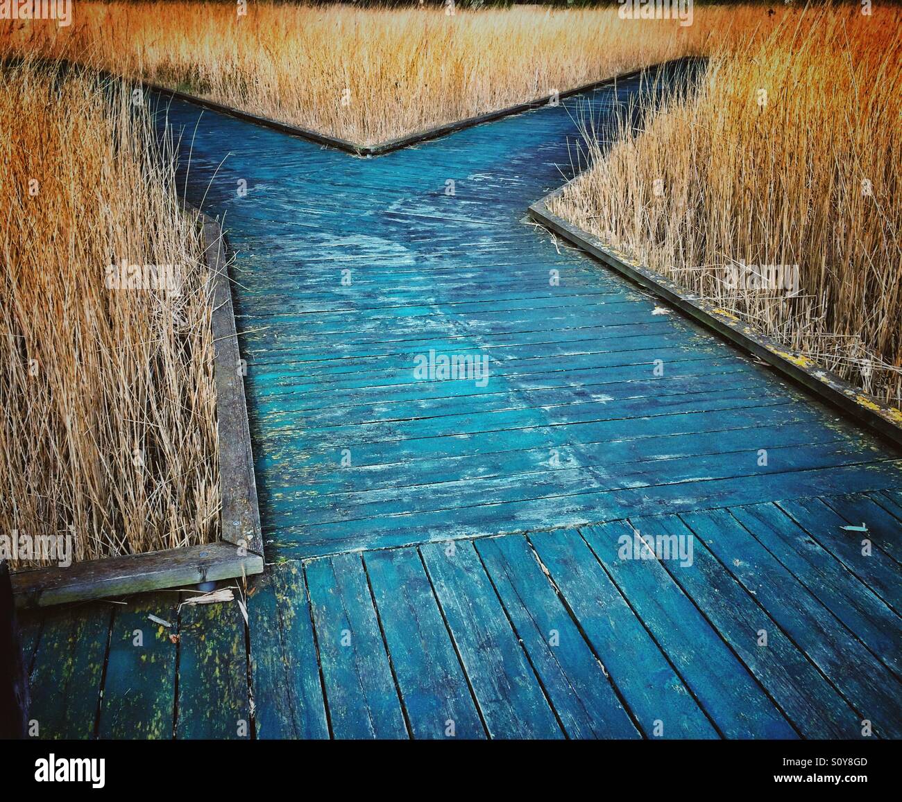 Divergent path hi-res stock photography and images - Alamy