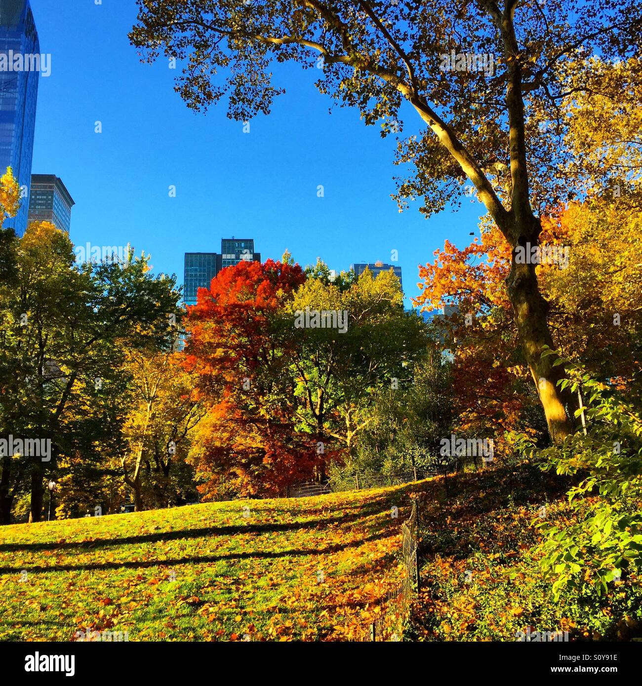 Seasons hi-res stock photography and images - Alamy