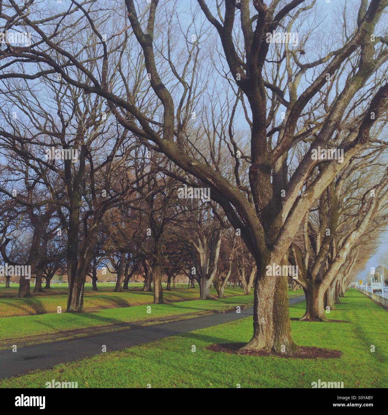 Christchurch hagley park spring hi-res stock photography and images - Alamy