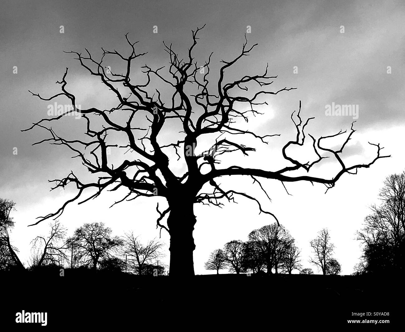 Gothic Landscape High Resolution Stock Photography and Images - Alamy