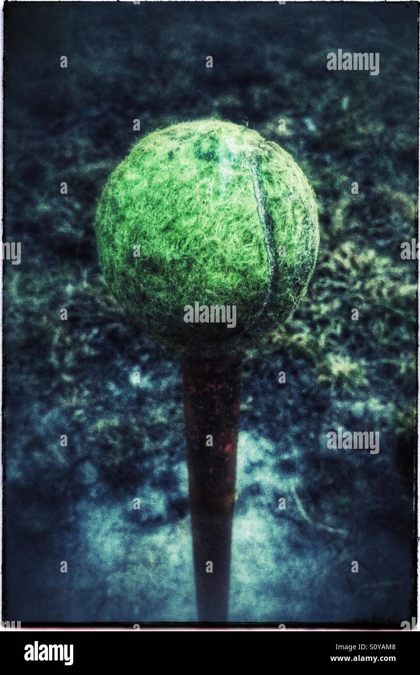 Tennis ball on a metal stake Stock Photo - Alamy