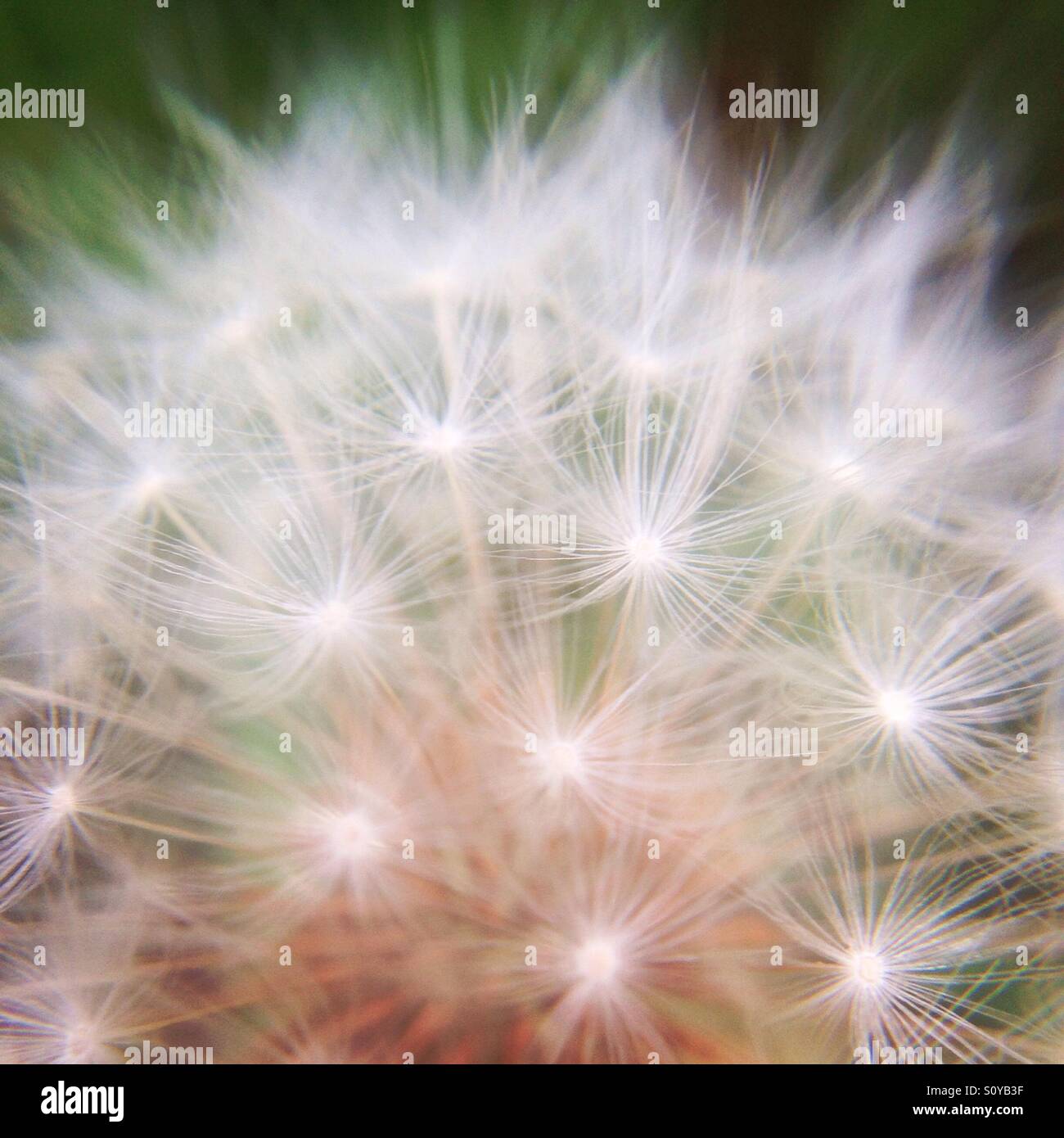 Fuzz hi-res stock photography and images - Alamy