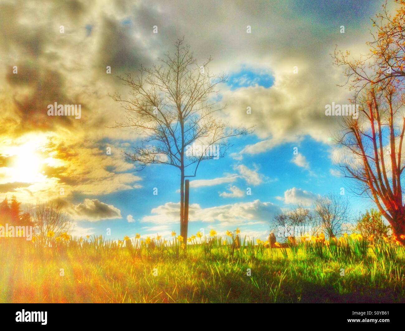 Sun sunny clouds hi-res stock photography and images - Alamy
