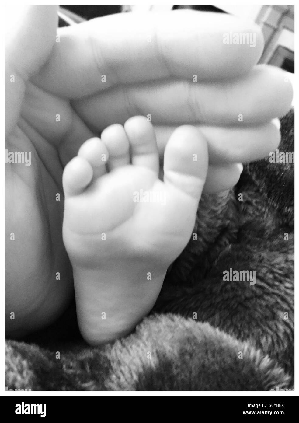 Newborn toes hi-res stock photography and images - Alamy