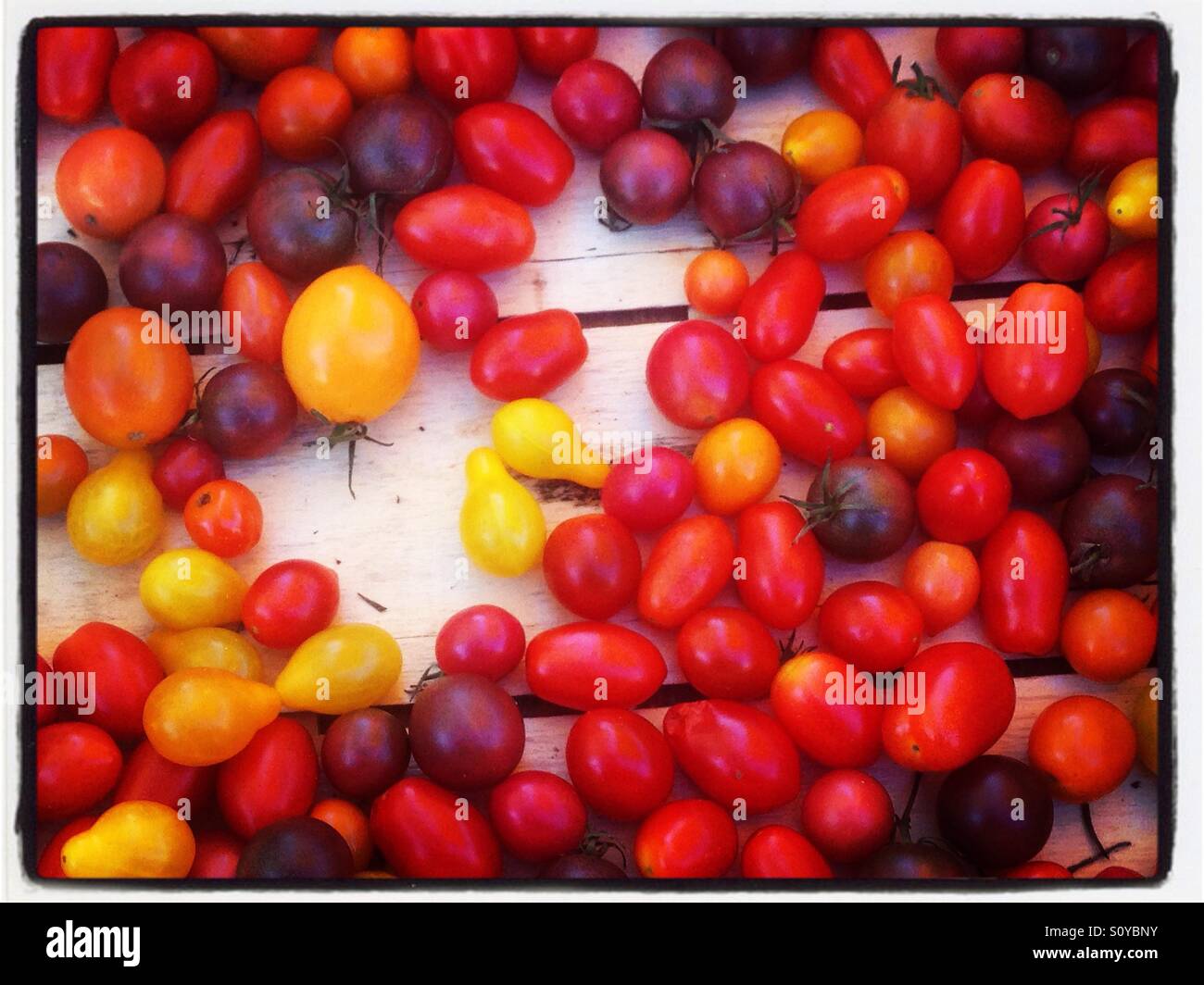 Variety of miniature tomatoes on wooden boards Stock Photo - Alamy