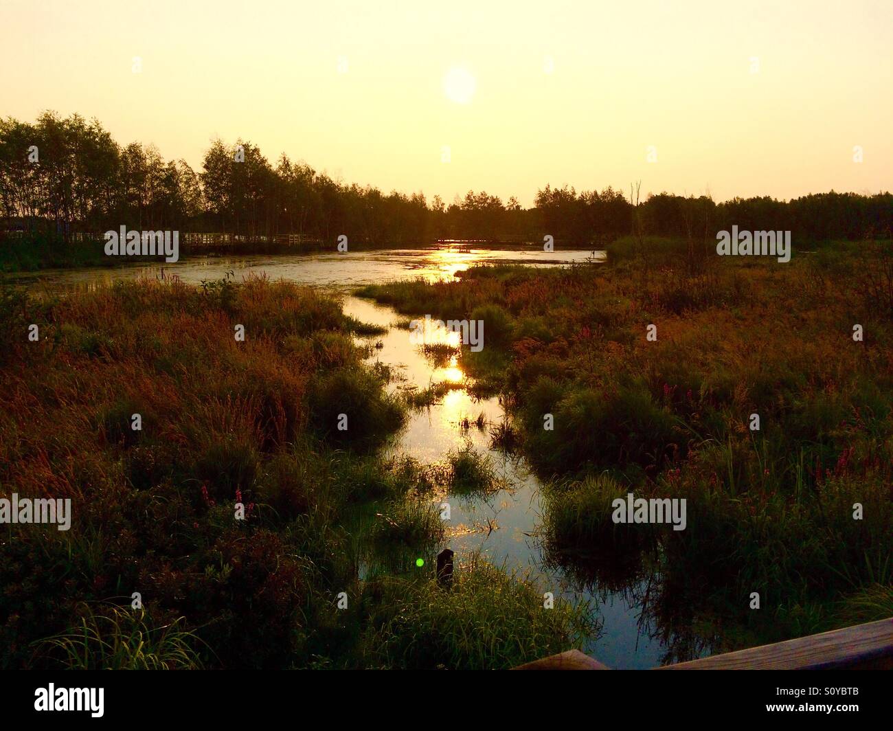 Canadian marsh hi-res stock photography and images - Alamy