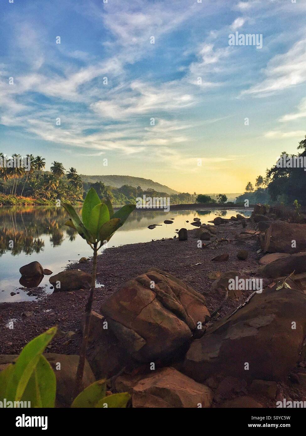 Achara hi-res stock photography and images - Alamy