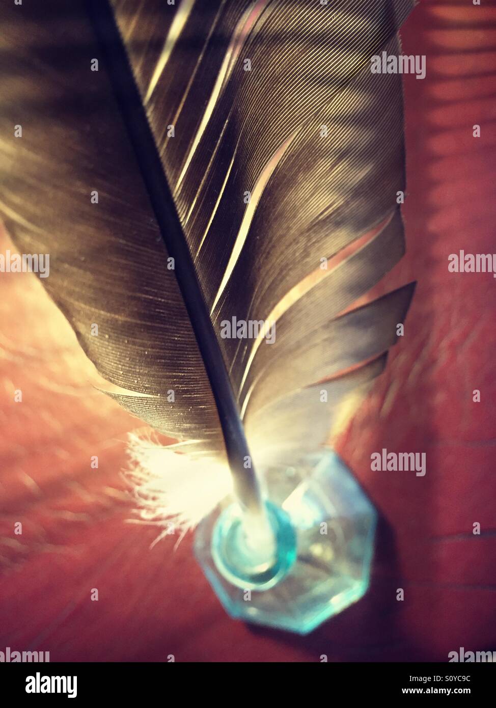 Feather in vintage inkwell Stock Photo - Alamy