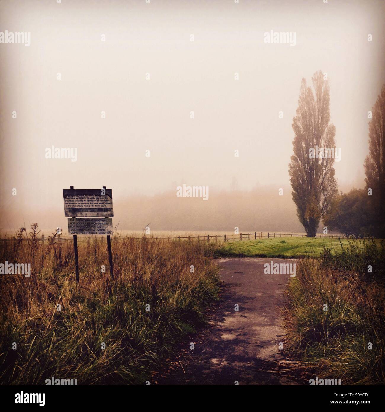 Zombie landscape hi-res stock photography and images - Alamy