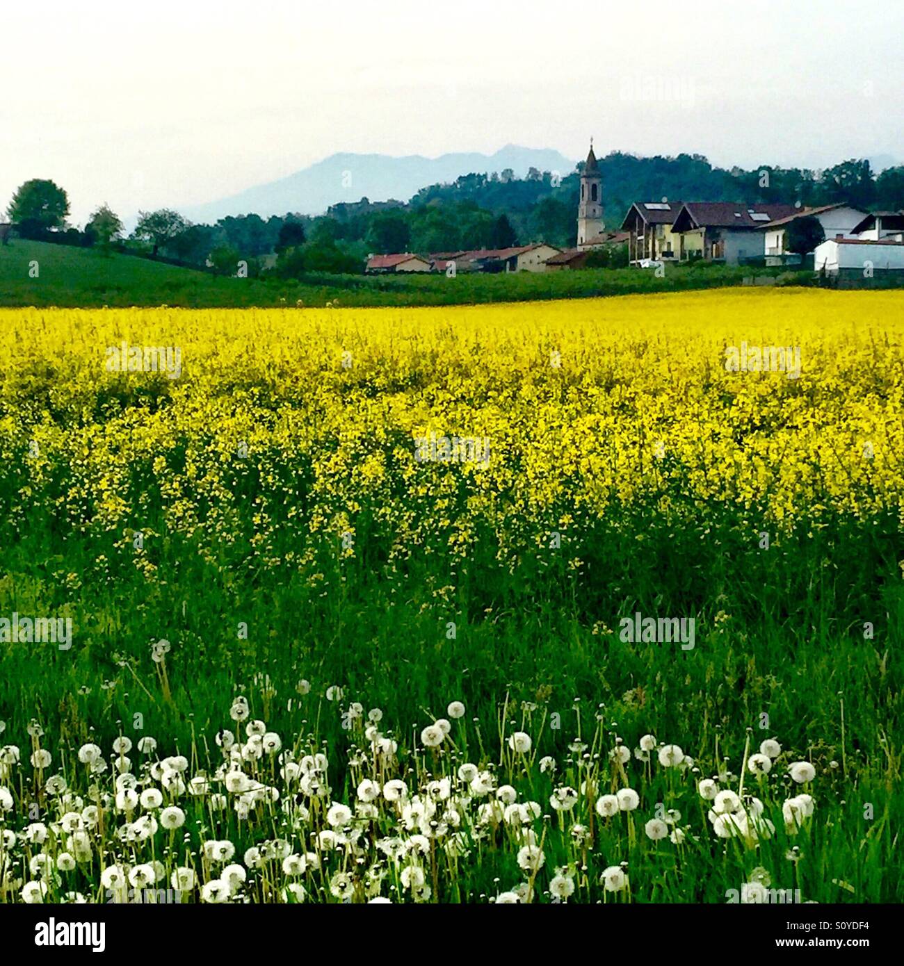 A colourful landscape of Italy Stock Photo - Alamy