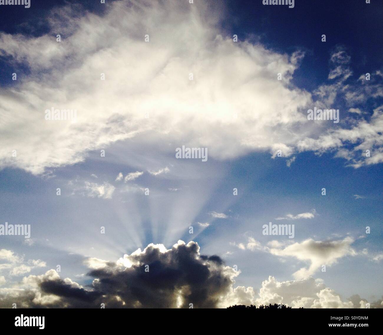Optimistic light hi-res stock photography and images - Alamy