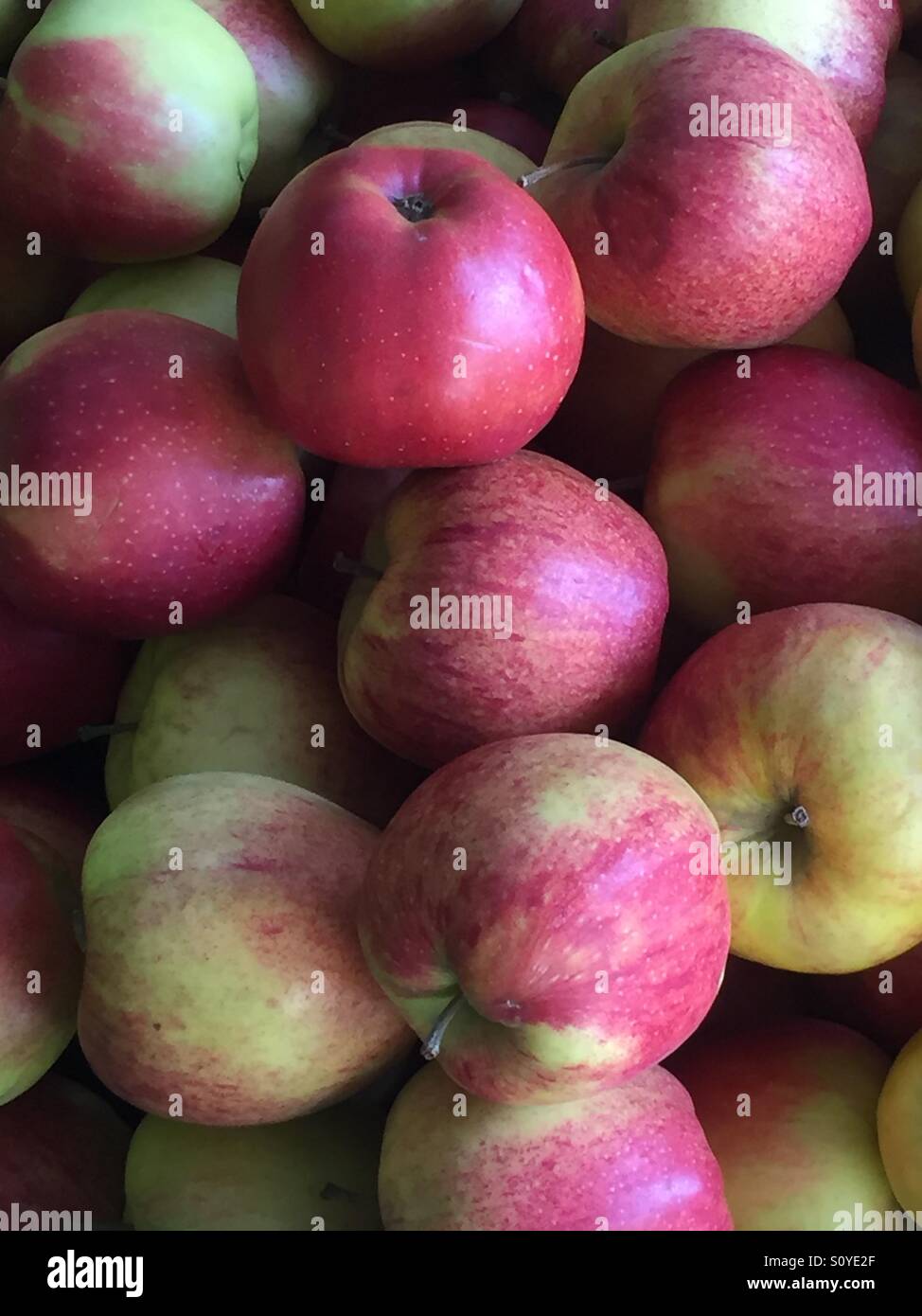 Lots of apples hi-res stock photography and images - Alamy