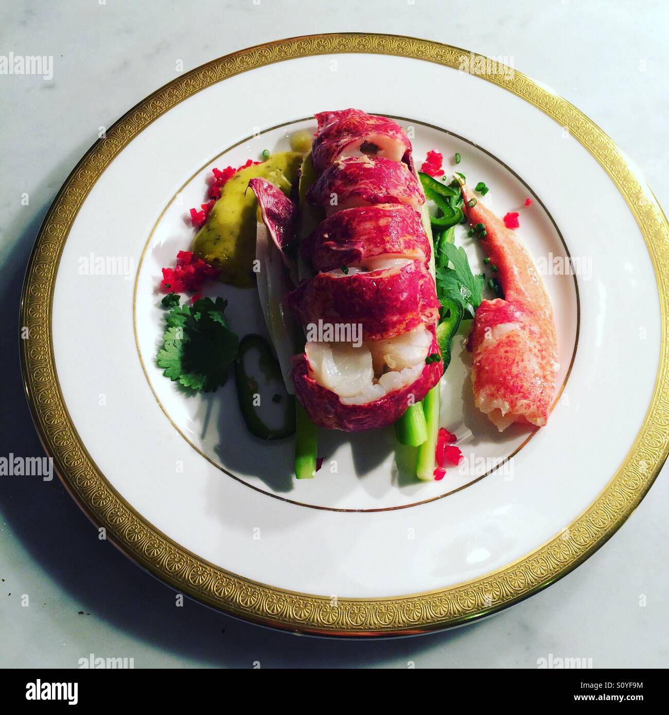 Fine dining lobster hi-res stock photography and images - Alamy