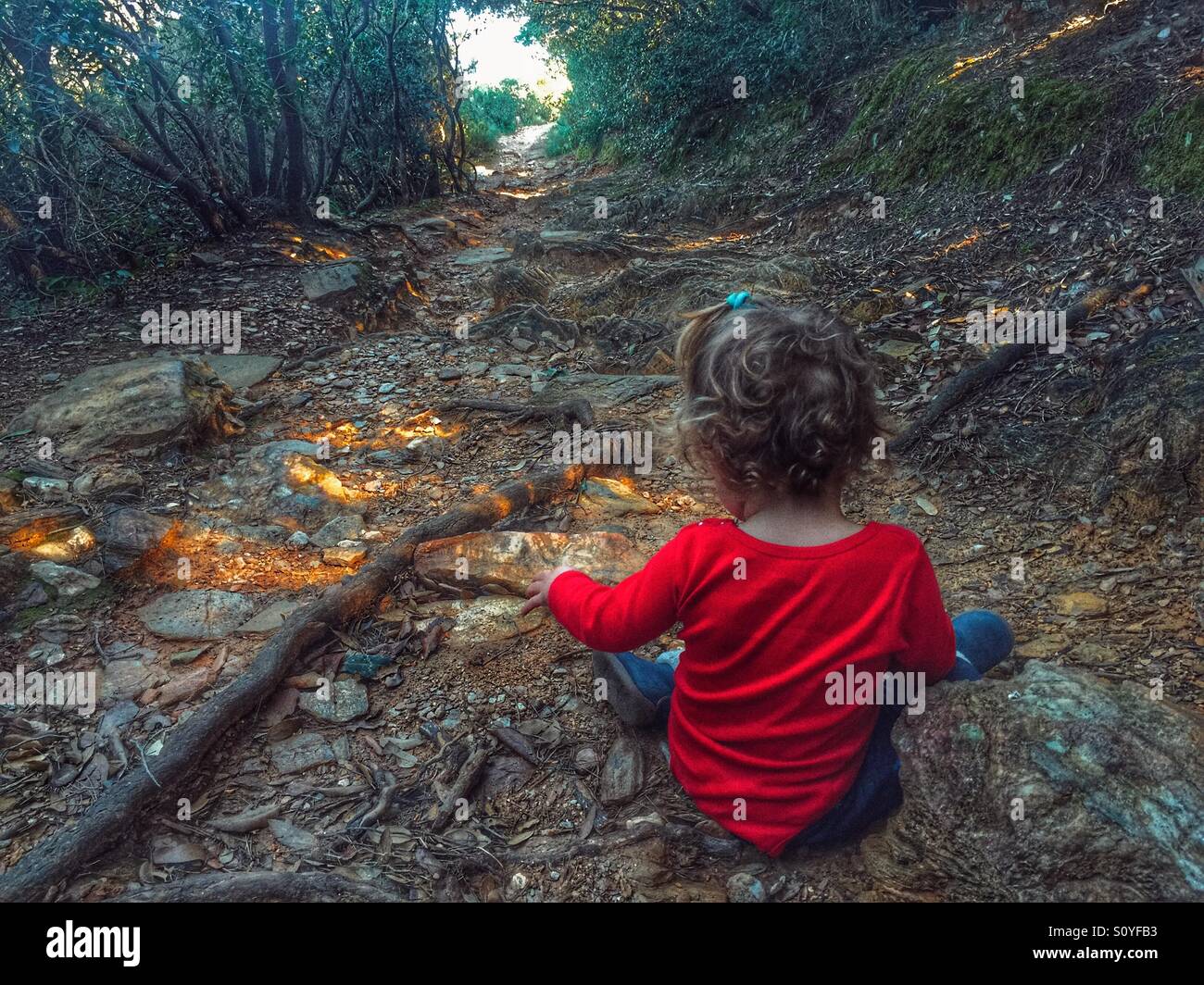Toddler playing in forest hi-res stock photography and images - Alamy