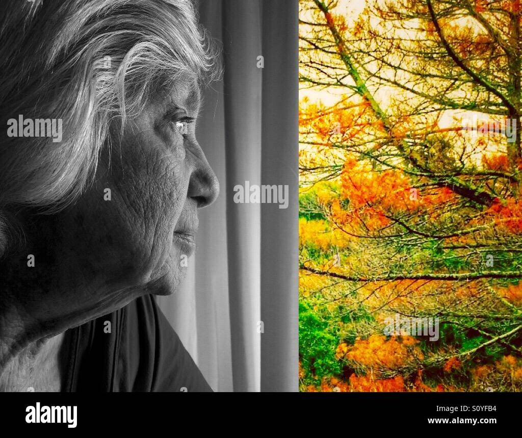 Elderly woman looking out window at fall season monochrome portrait ...