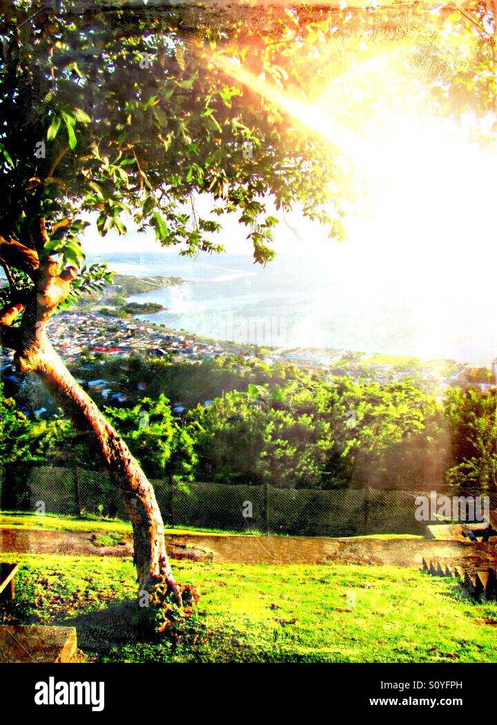 Village tree hi-res stock photography and images - Alamy