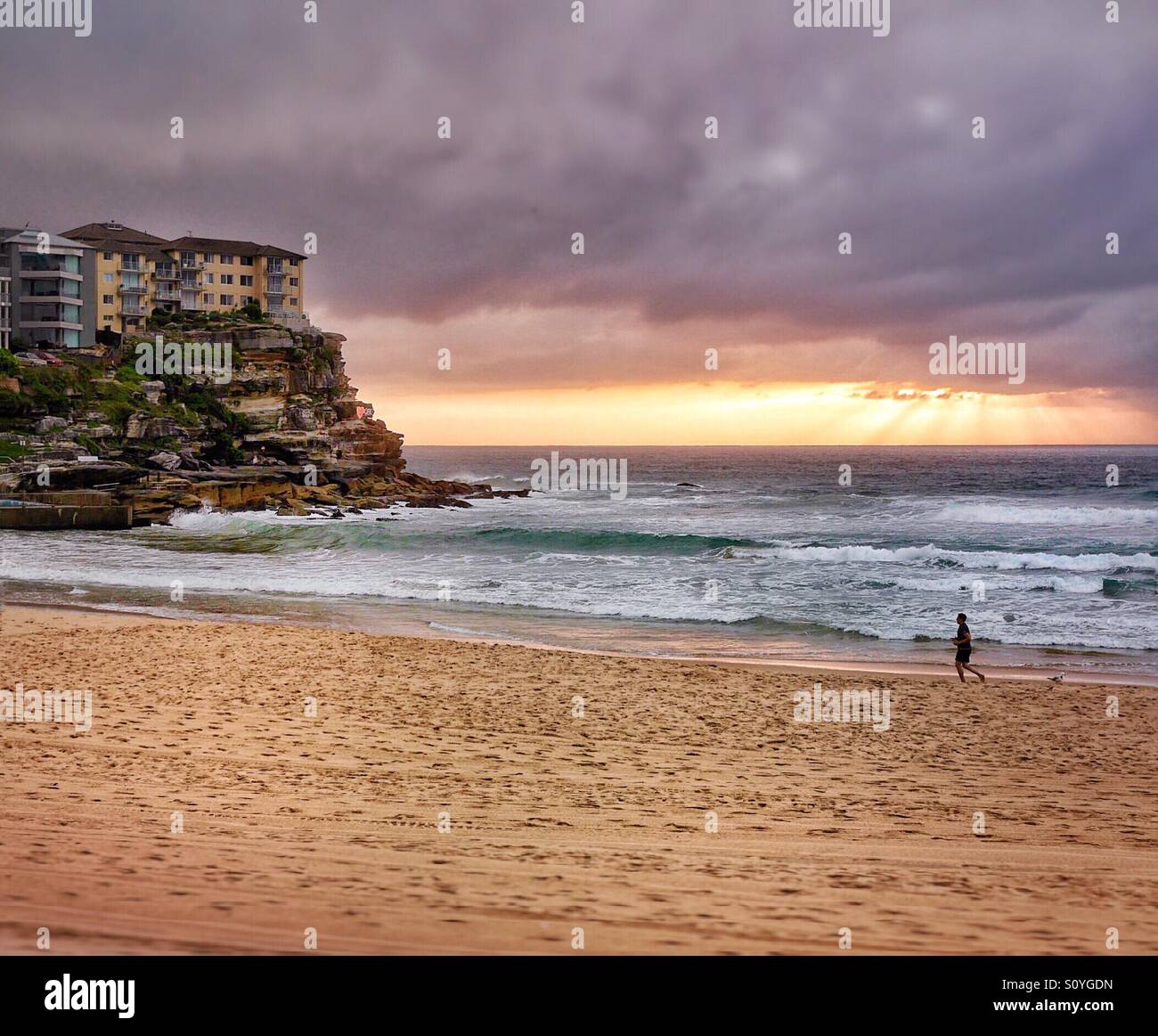 Manly run hi-res stock photography and images - Alamy