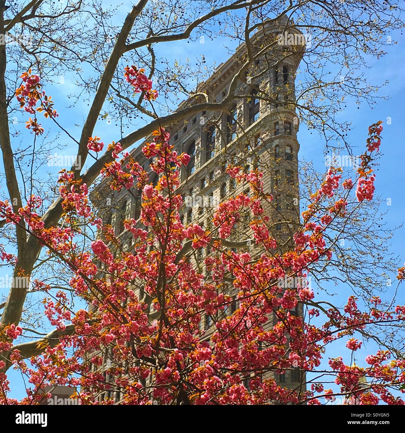 Madison Square Park In Springtime High Resolution Stock Photography and ...