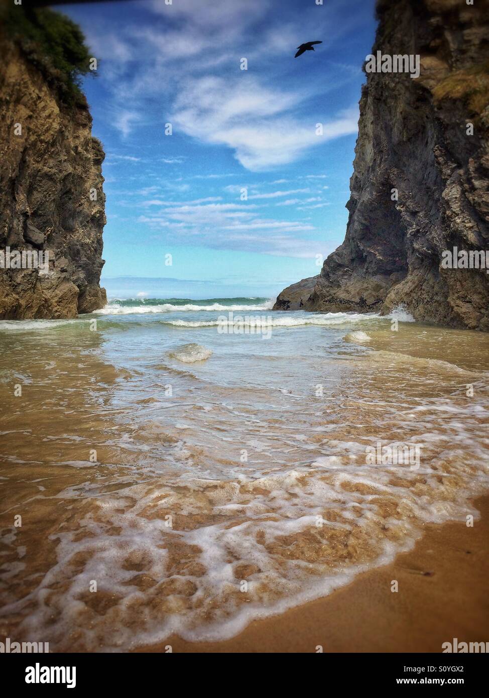 Dreaming of sunshine hi-res stock photography and images - Alamy